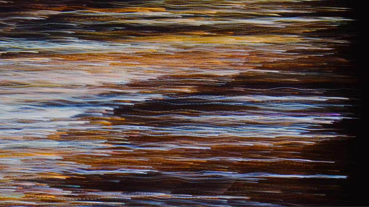 Sensoria | David Nettleton