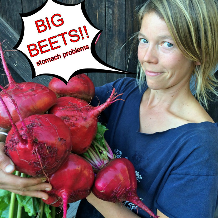 BIG BEETS!!! | messengerx147