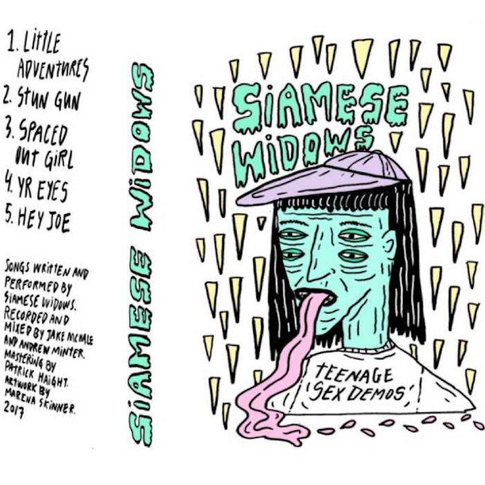 Teenage Sex Demos B Sides Siamese Widows 