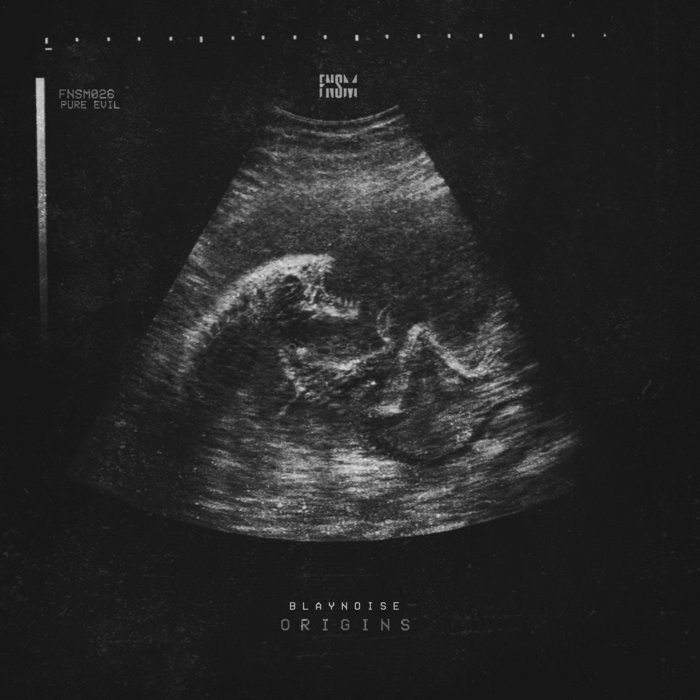 Origins (Compilation) (Album) | Blaynoise | Feelnoise Music