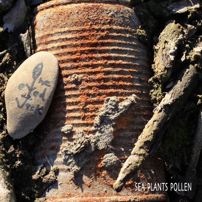 Sea Plants Pollen | One Eyed Jack