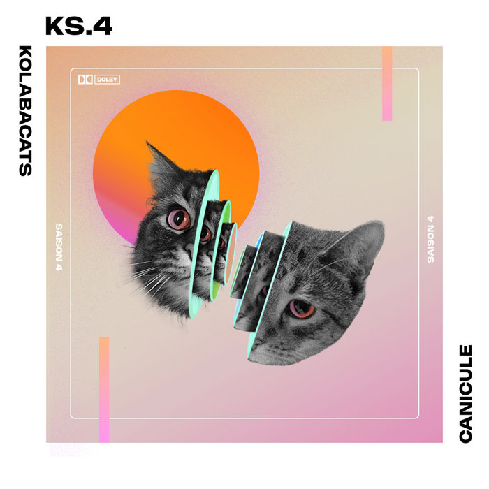 CANICULE _ KS4.1 | KOLABACATS