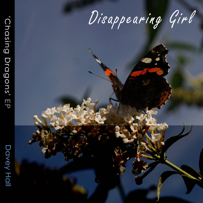 Disappearing Girl | Davey Hall