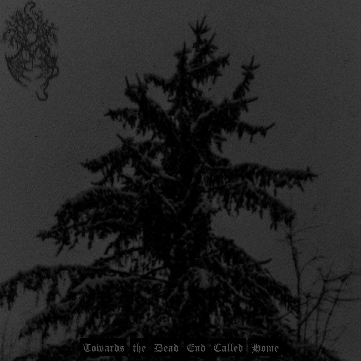 Towards the Dead End Called Home | Maledictus Anguis