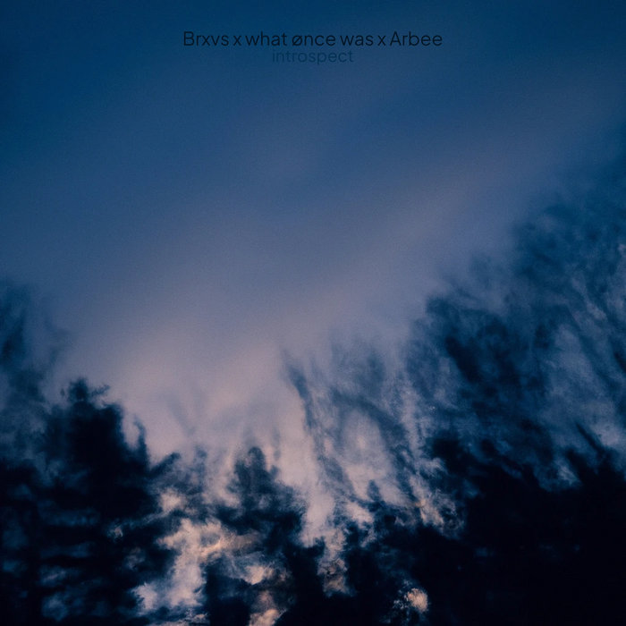 introspect | Brxvs x what ønce was x Arbee | arbee