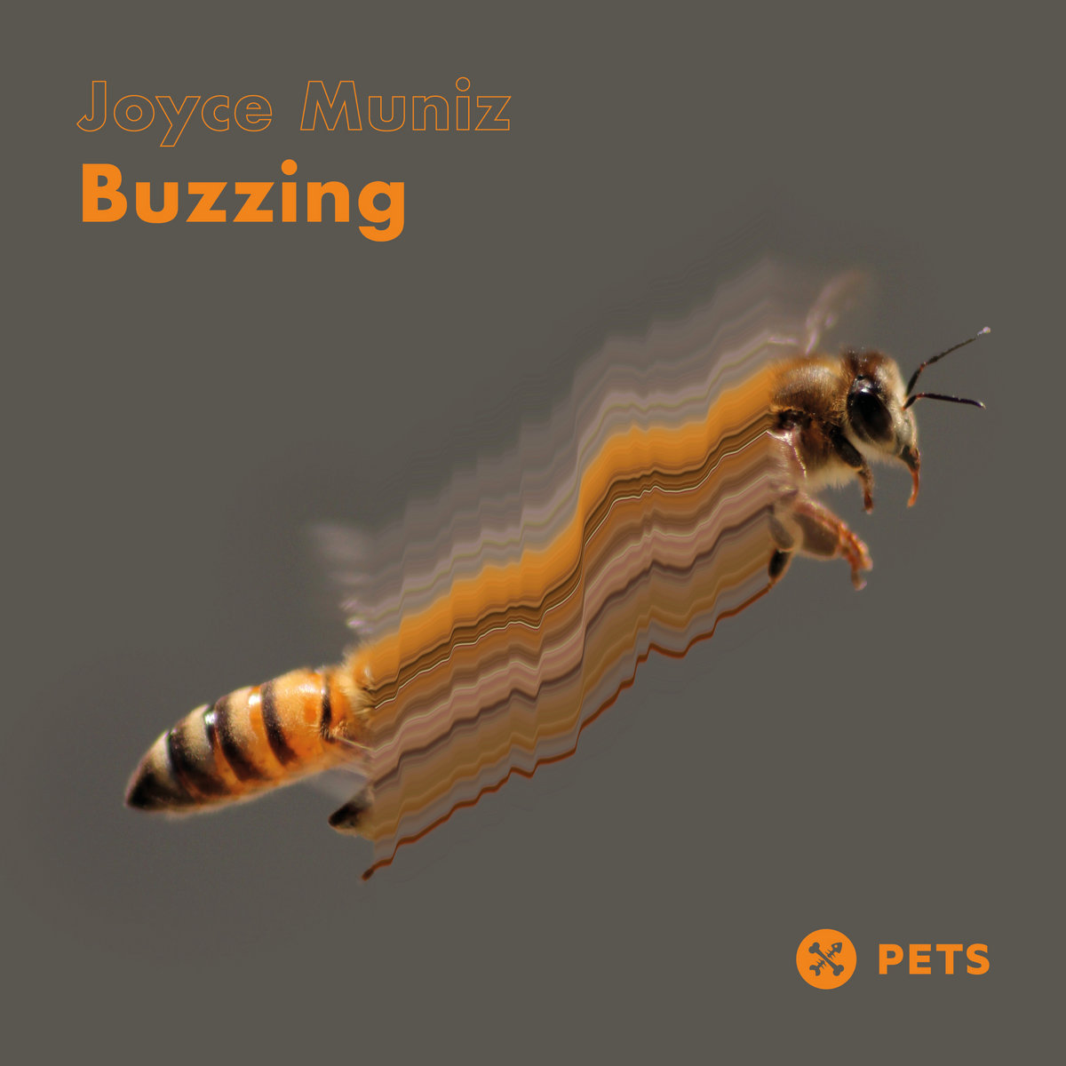 Joyce Muniz - Buzzing [PETS173] | Joyce Muniz | Pets Recordings
