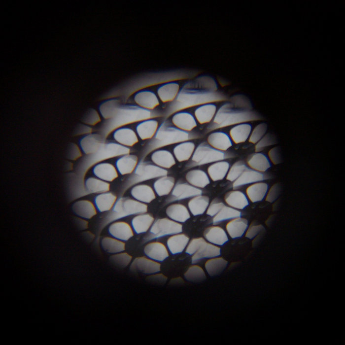 BKSM | Liminal People