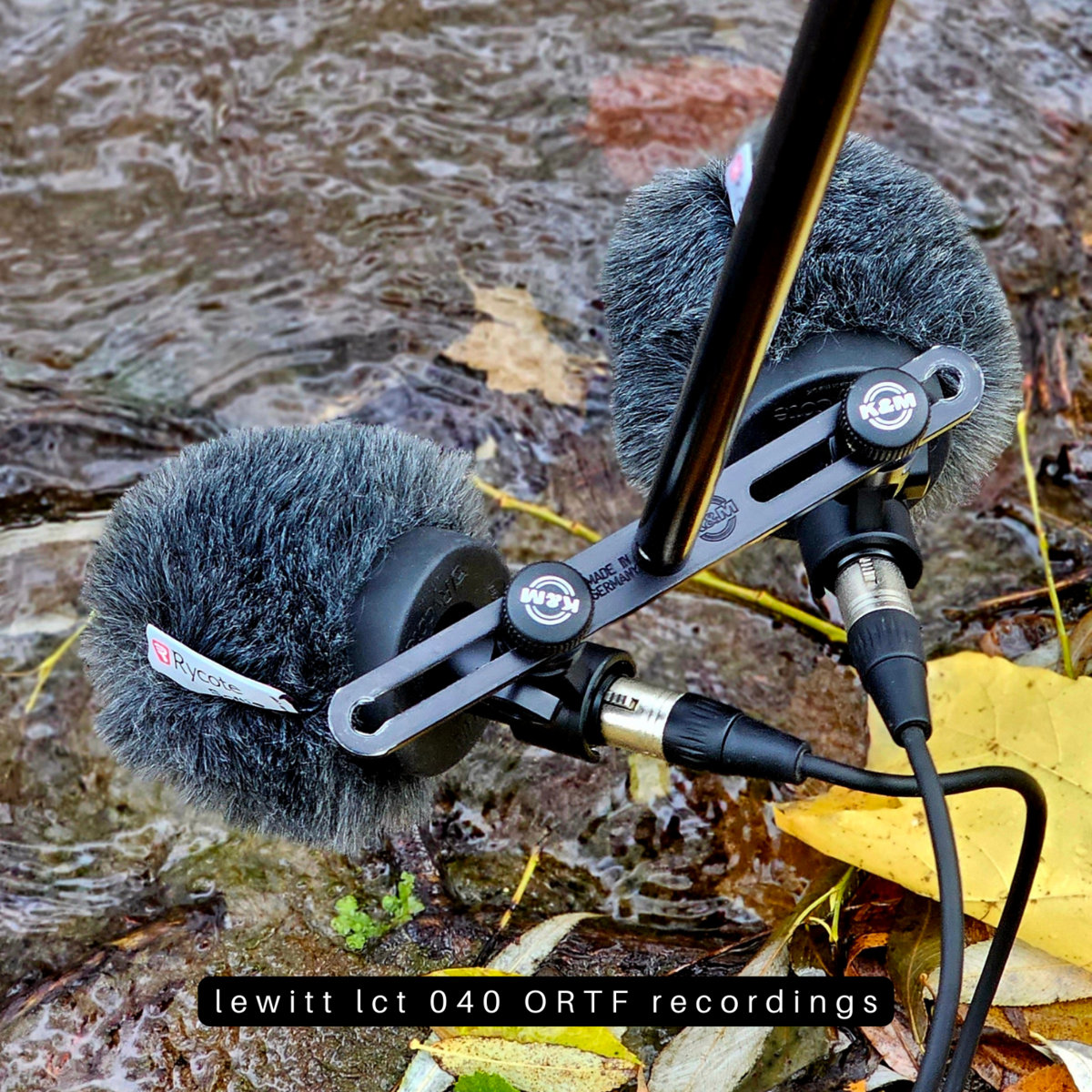 Lewitt LCT 040 ORTF Recordings | Samuel Kudjodzi | THE ECOMUSIC PROJECT
