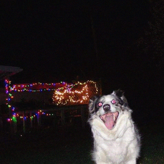 A Midnight Holiday | Cucumbers With Anxiety