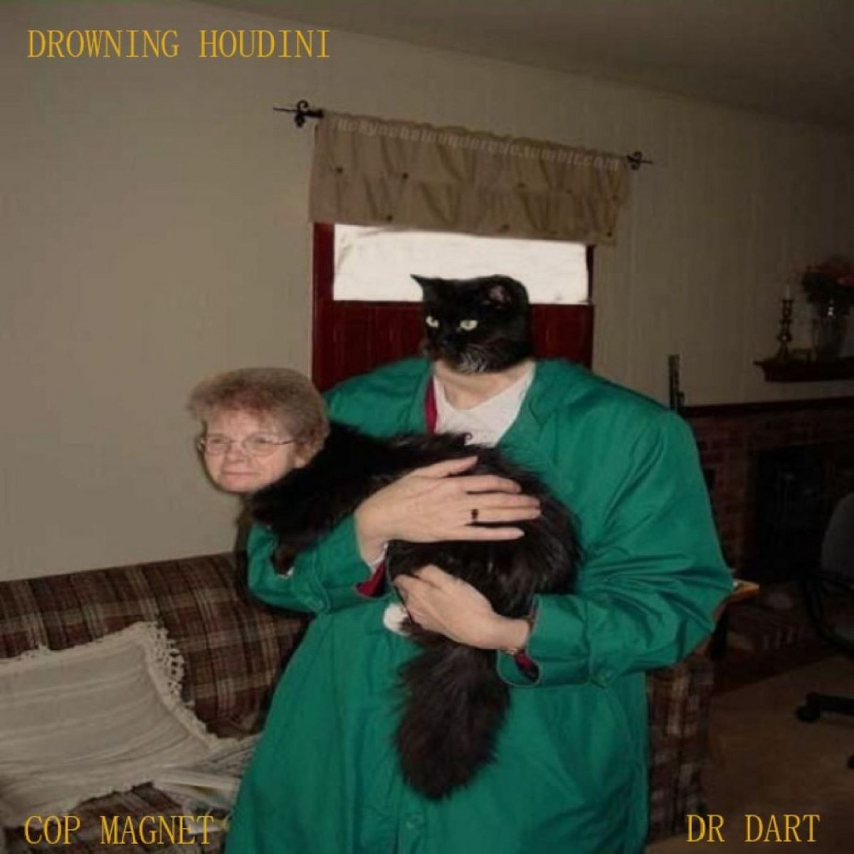 Cop Magnet/Dr Dart | Drowning Houdini