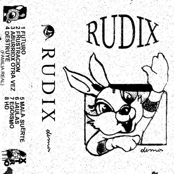 Demos | RUDIX | XTRO