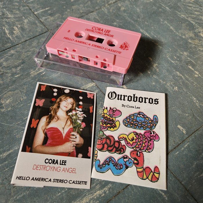 Destroying Angel | Cora Lee | Hello America Stereo Cassette