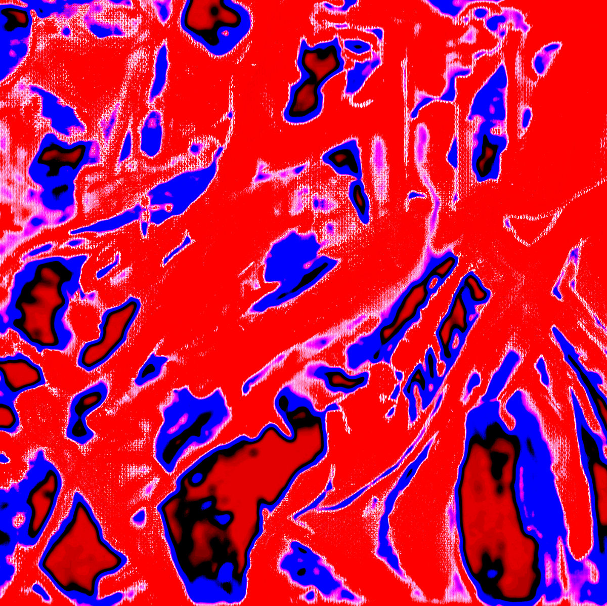 Fluorescent Arc | Dave DeFilippo