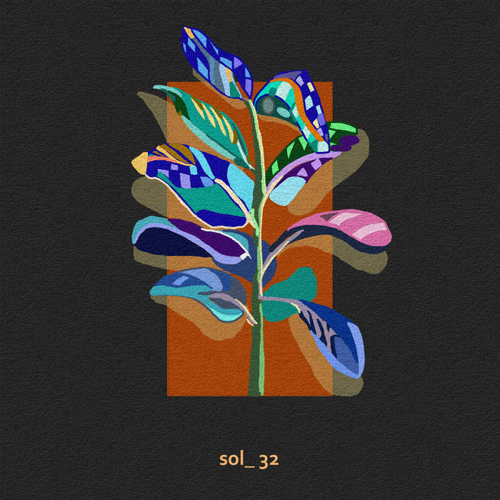 sol_32 | Sol_ | sol_