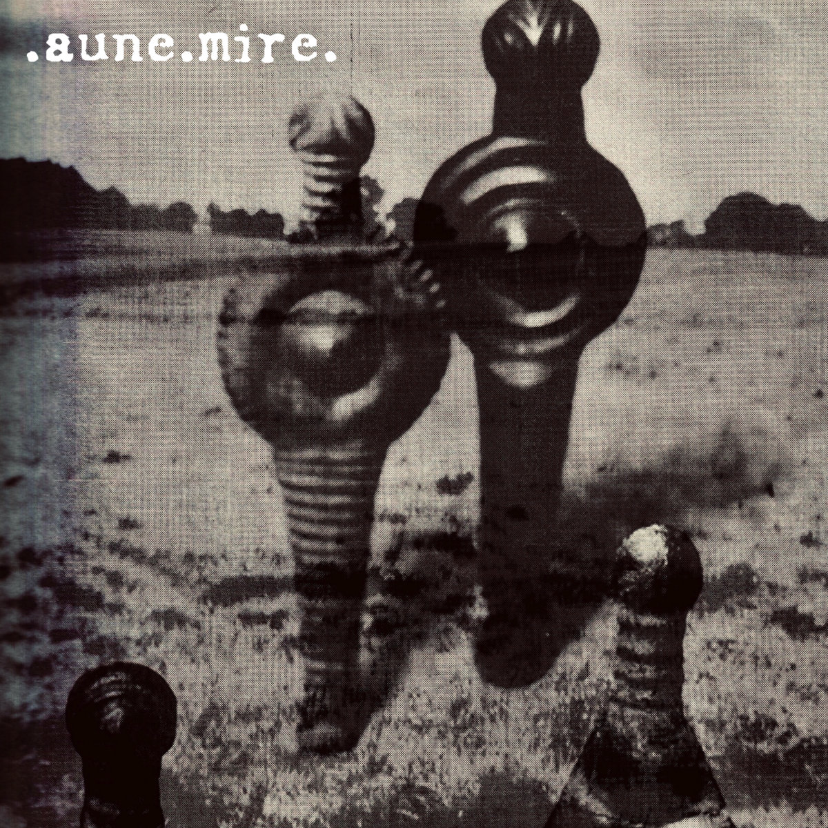 Aune Mire | Aune Mire