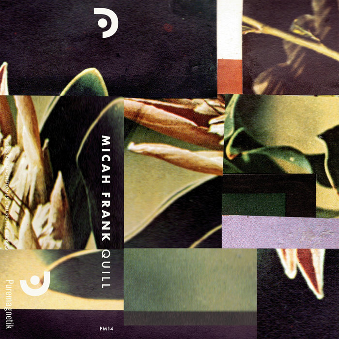 Quill | Micah Frank