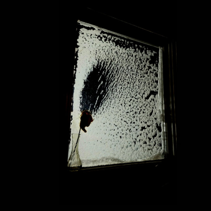 WINDOW (EP) | Nomatic