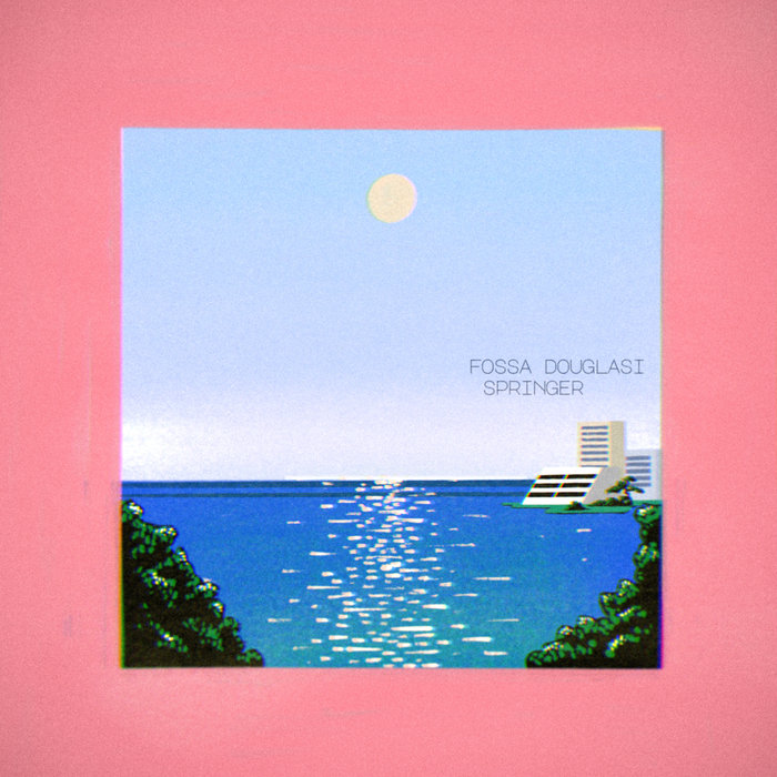 Springer | Fossa Douglasi