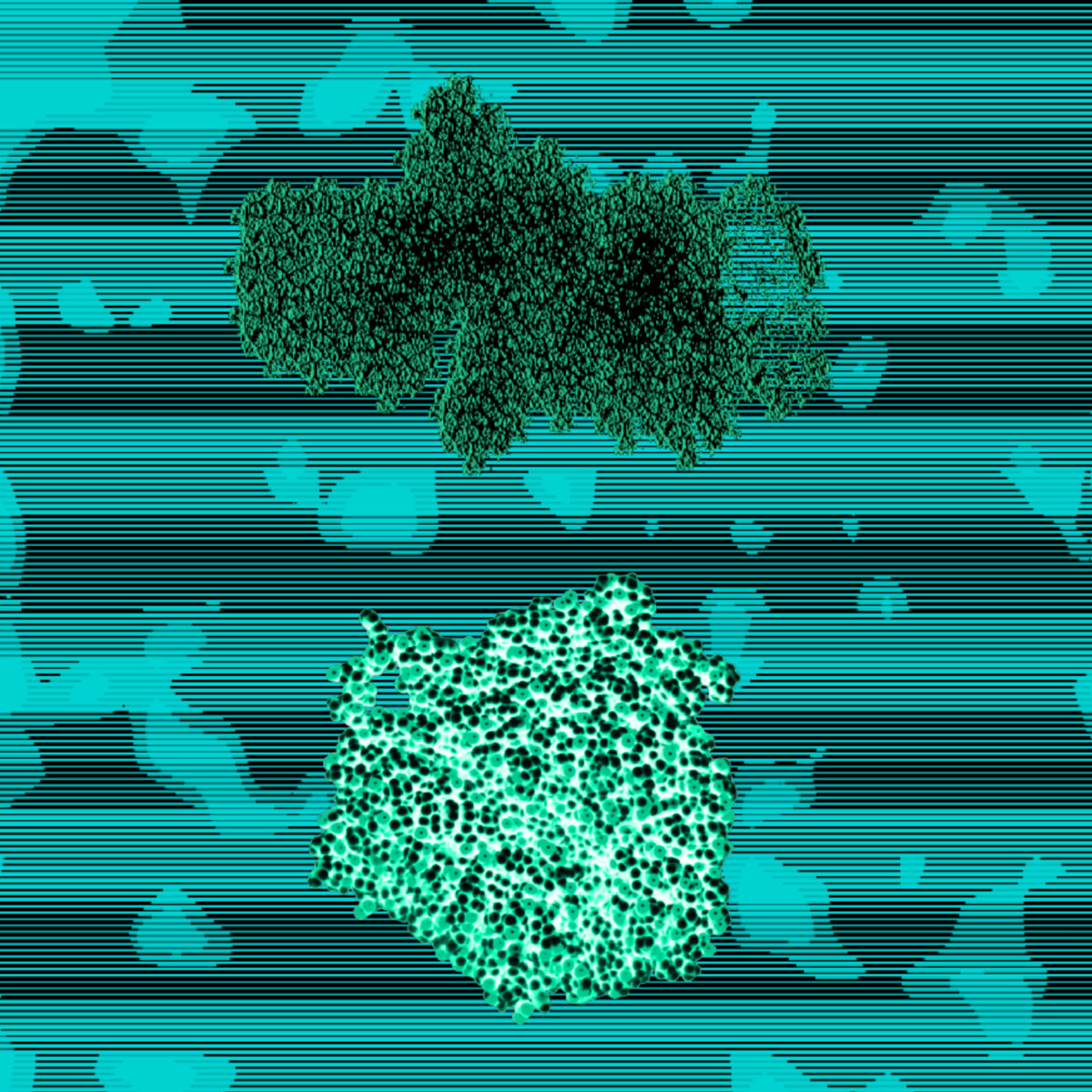 Mitochondria In The Water (Split) | Endoplasmic Reticulum //Cytochrome ...