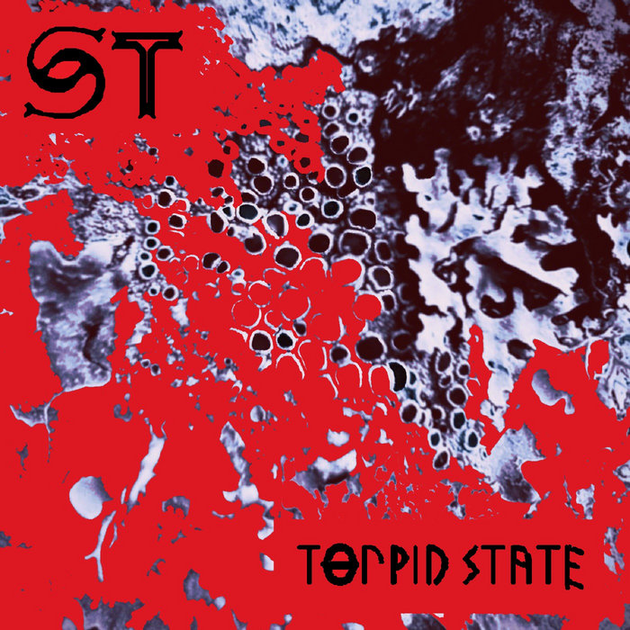 Torpid State | Soloman Tump