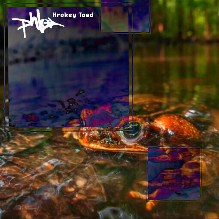 Krokey Toad | phLo
