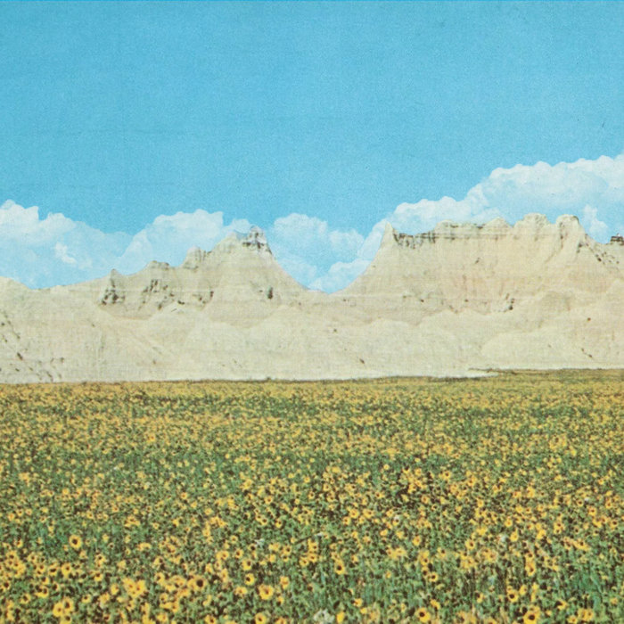 Dreams of a Sunflower River | Black Brunswicker