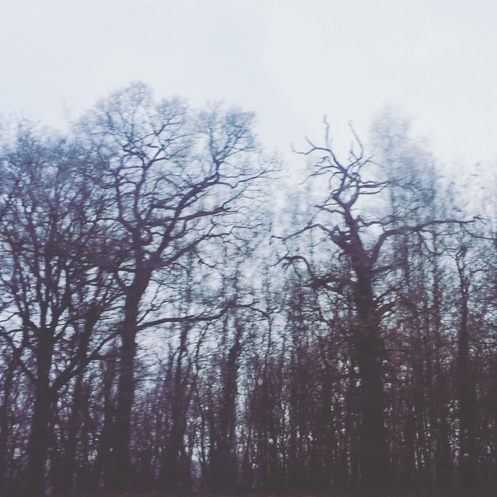 Les Avatars du Vide - EP | BLURR THROWER | Limbes