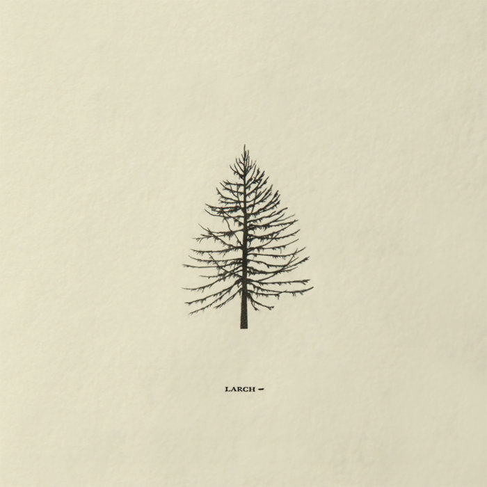 Larch | Larch