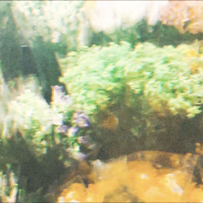 Chatouille | Chatouille