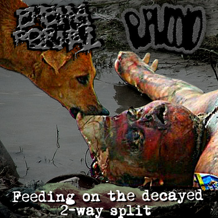 Feeding On The Decayed | Enema Pornal, Puruloid | Severed Nerve Records