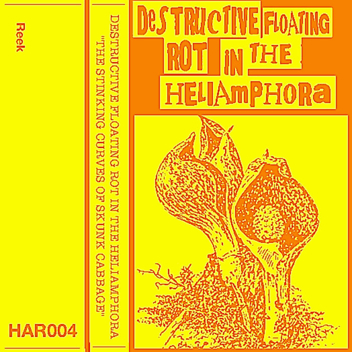 The Stinking Curves Of Skunk Cabbage | Destructive Floating Rot In The ...