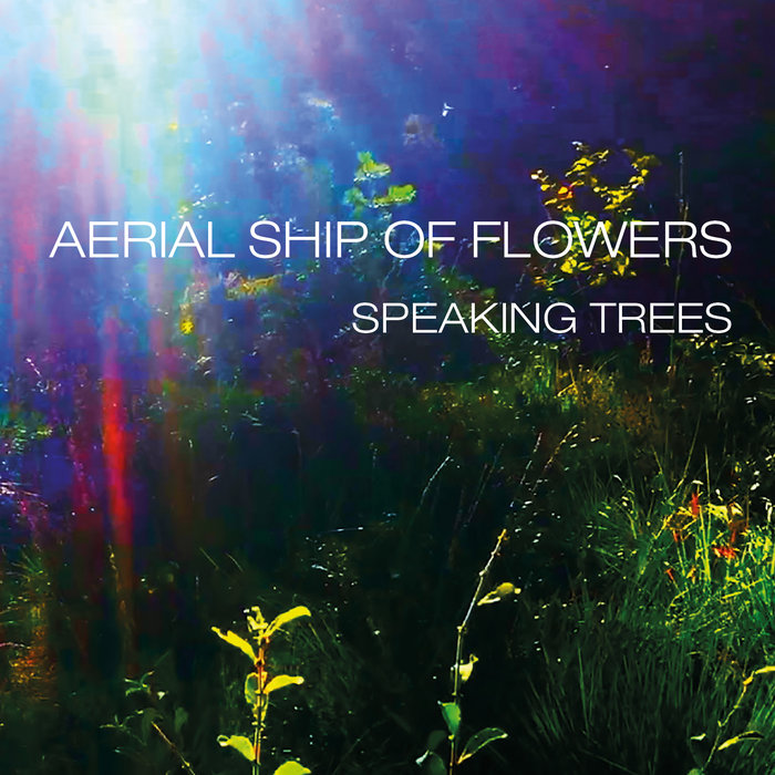 Speaking Trees | AERIAL SHIP OF FLOWERS