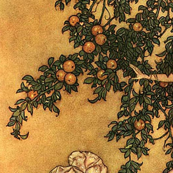 Louder Than Layla | Rikky Rooksby