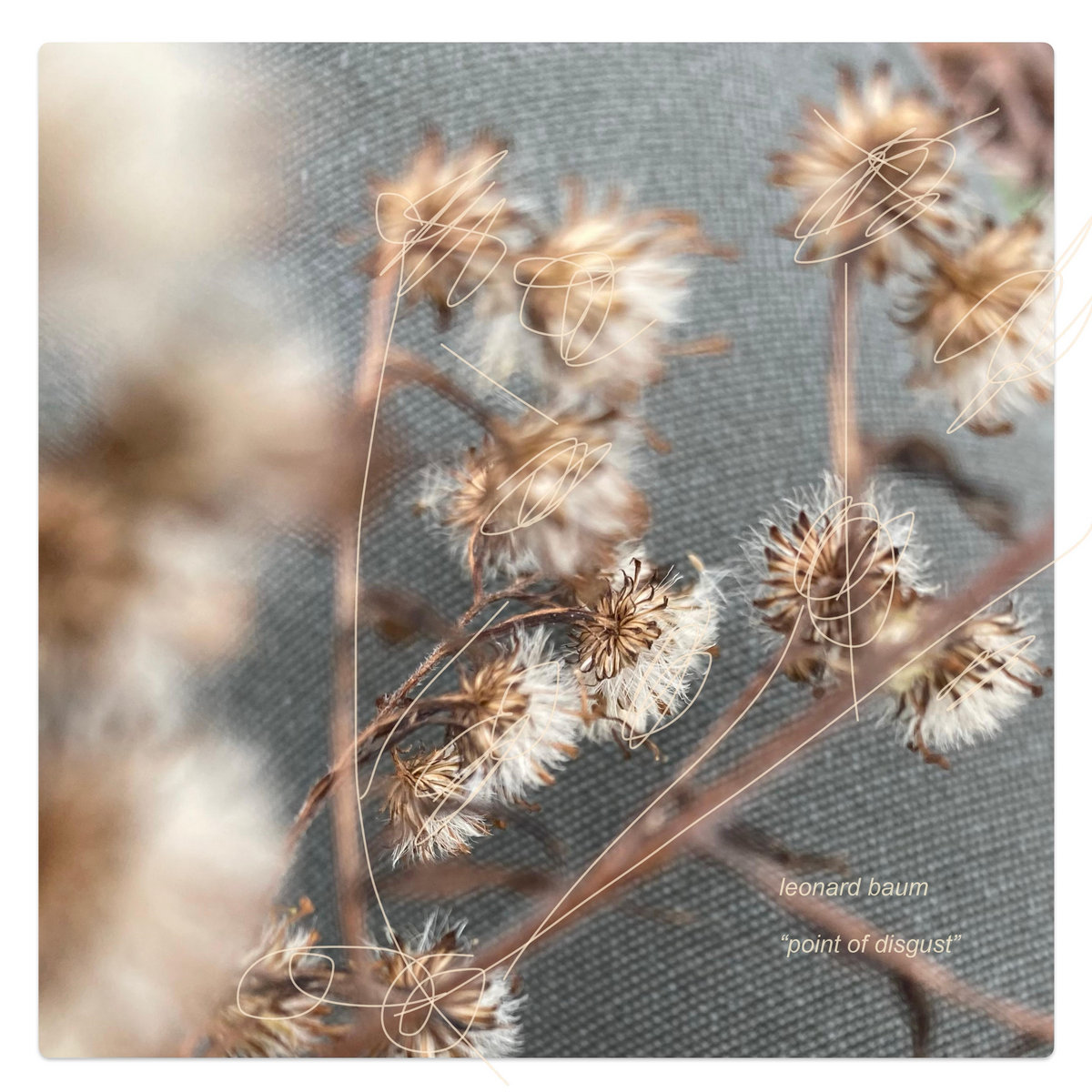 Point of Disgust | Leonard Baum