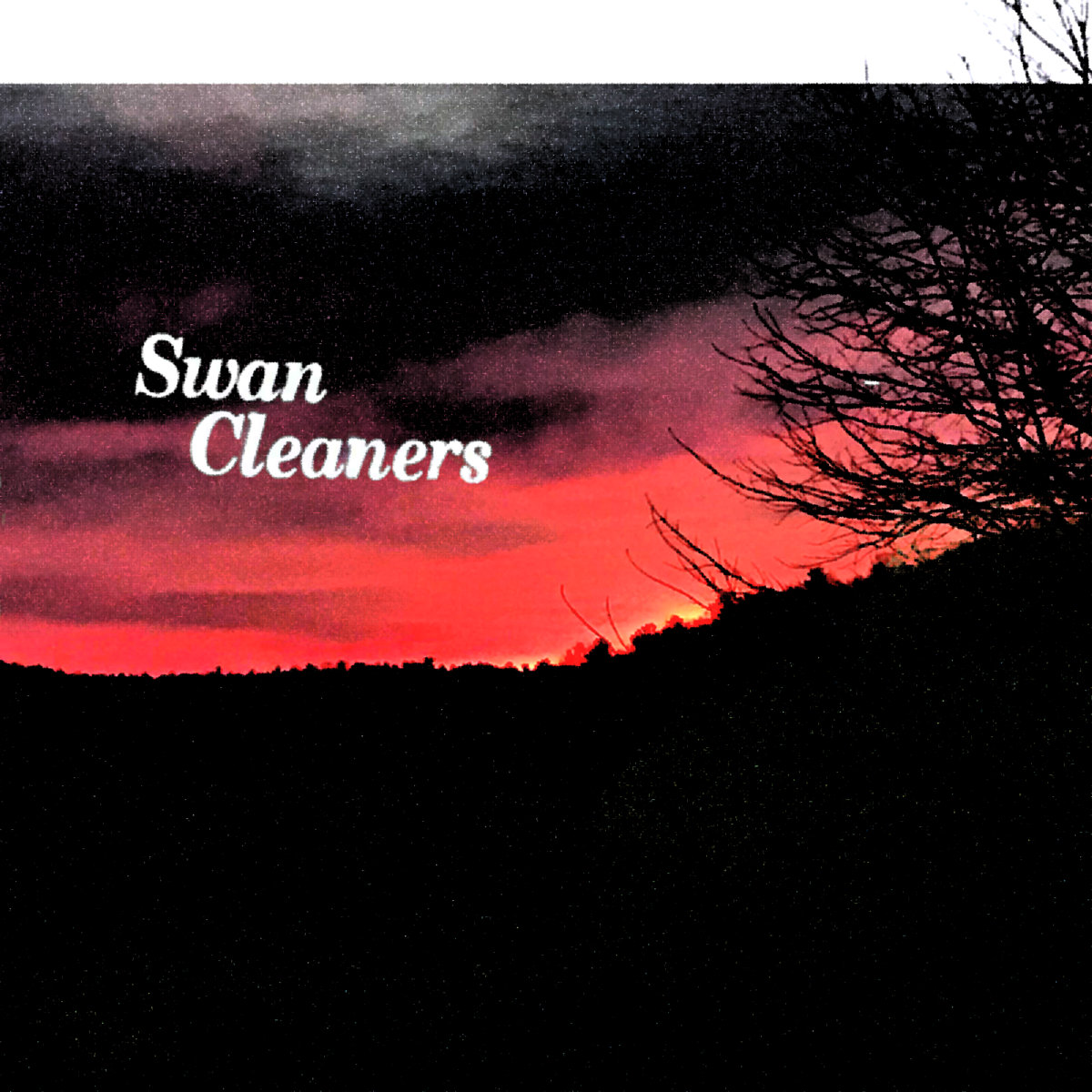 swan cleaners | hit the kitchen