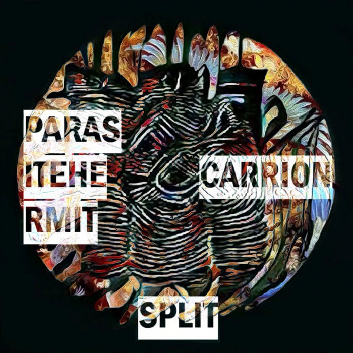 Split | Parasite Hermit / Carrion | Imploding Sounds