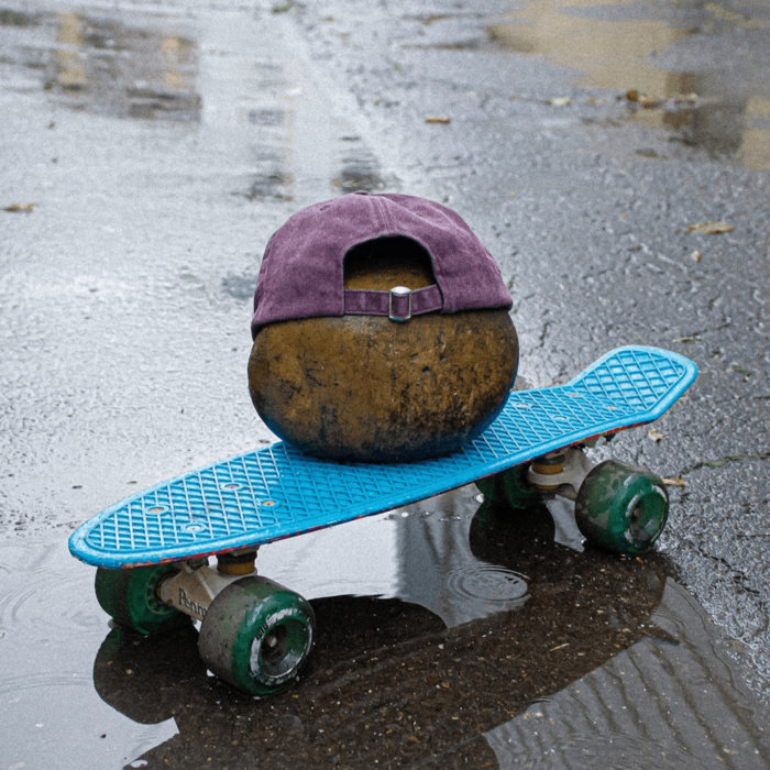 No Cohesion | Pet Rock Olympian