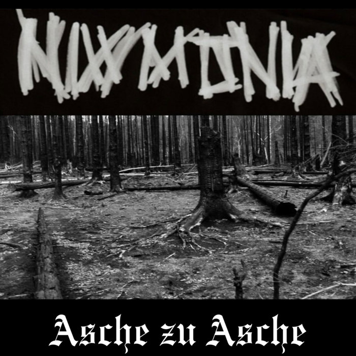 Asche zu Asche | Niwmonia | NIWMONIA