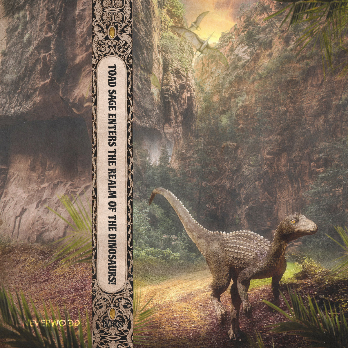 Toad Sage Enters the Realm of the Dinosaurs! | Toad Sage | Neverwood ...