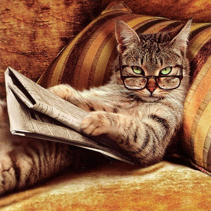 Happy Birthday Kris | Ruth Carstairs