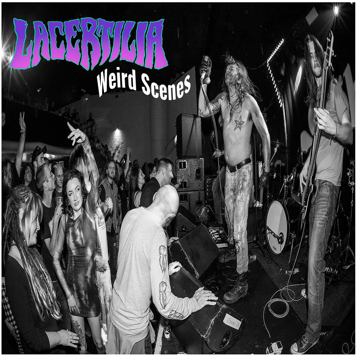 Weird Scenes | Lacertilia