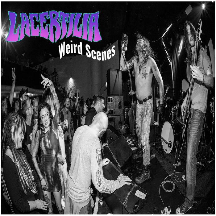 Weird Scenes | Lacertilia