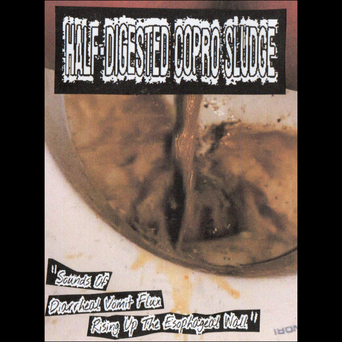 Sounds of Diarrheal Vomit Flux Rising up the Esophageal Wall (Demo ...