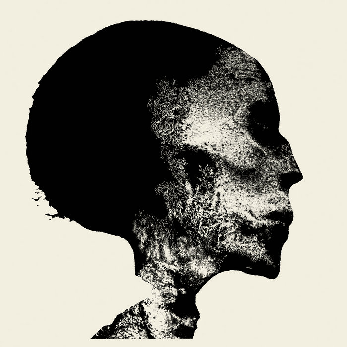 Transient | Chaos Echoes | NWN! Productions LLC