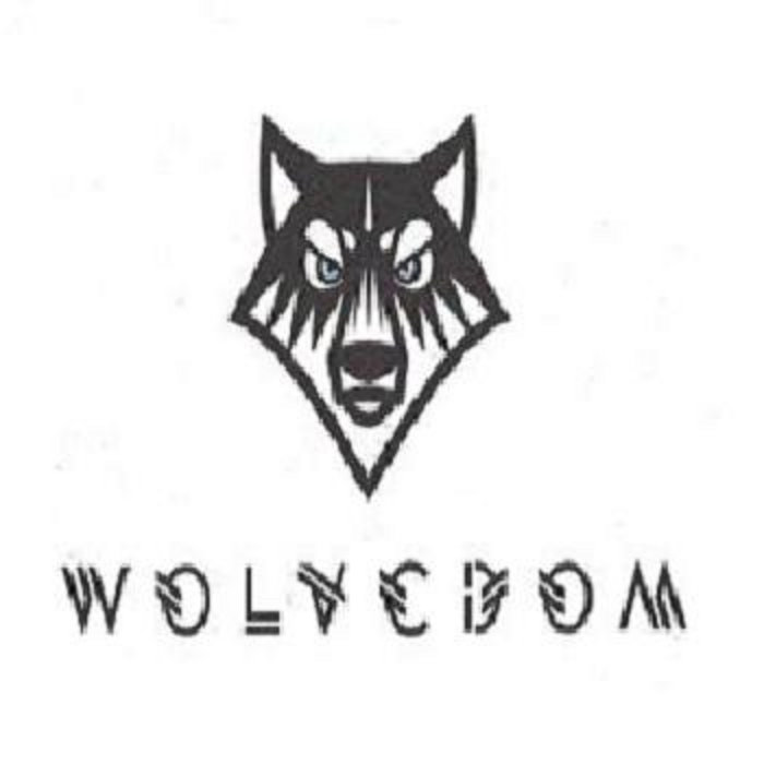Digital Natives Generation | WOLVEDOM
