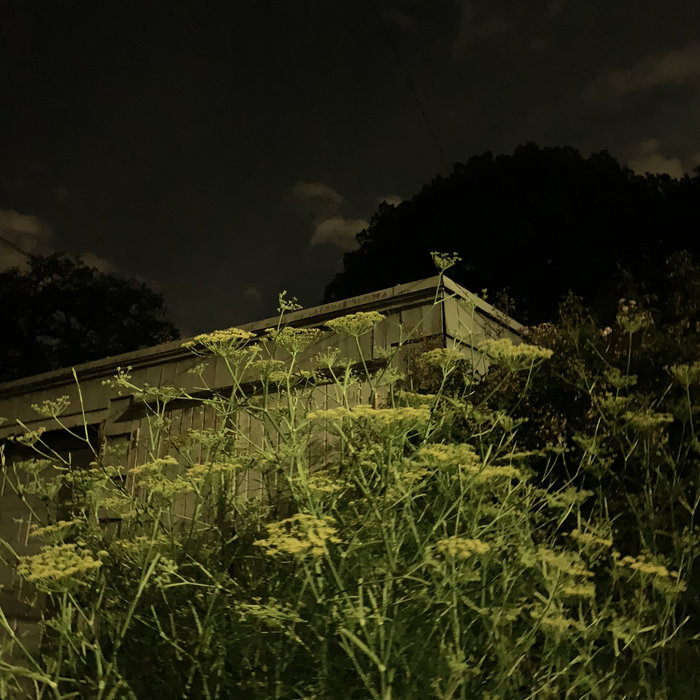 Discography | Pantry Ghost