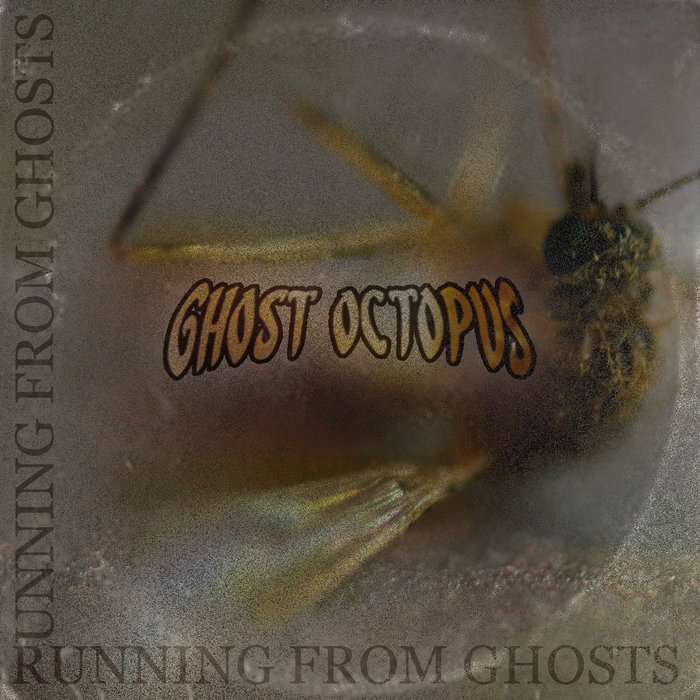 Running From Ghosts | Ghost Octopus