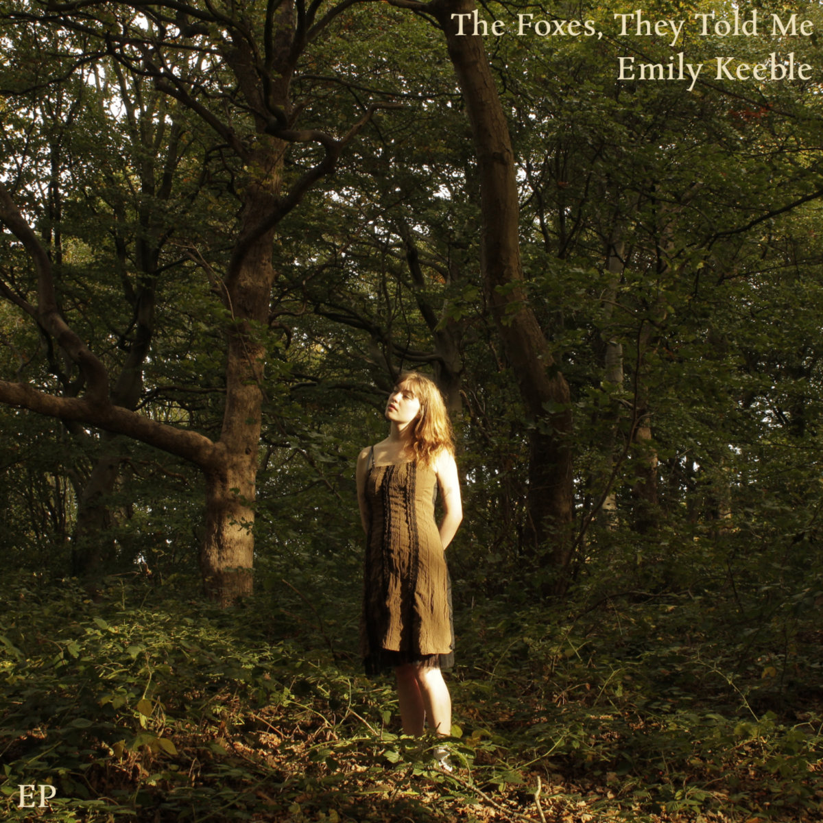 The Foxes, They Told Me | Emily Keeble