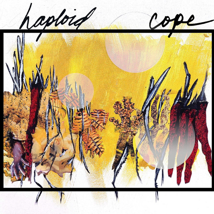 Cope Haploid 5cm Recordings cope-haploid-5cm-recordings