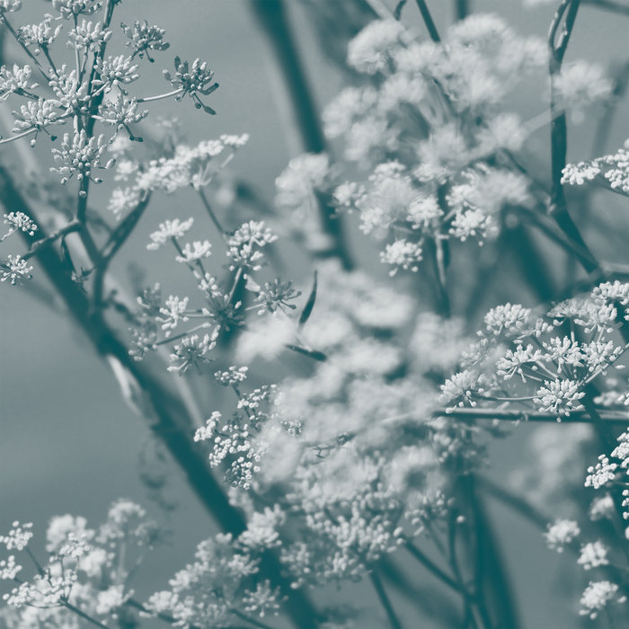 Journey to the Cave of Guanyin | Theresa Wong